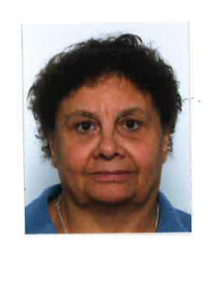 Le conseil municipal - La Ville de Sainte-Geneviève-des-Bois